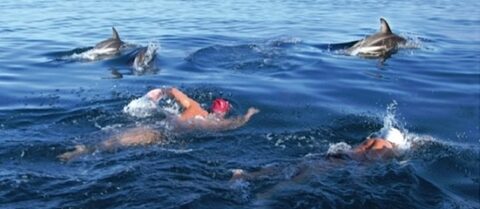 Extreme Cold Water Swimming and Ice Swimming | 1 Vigor