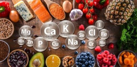 Minerals Essential to Maintaining Our Physiological Health | 1 Vigor